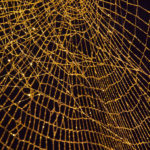 Galerie d’art Stewart Hall – La Biennale d’art contemporain autochtone