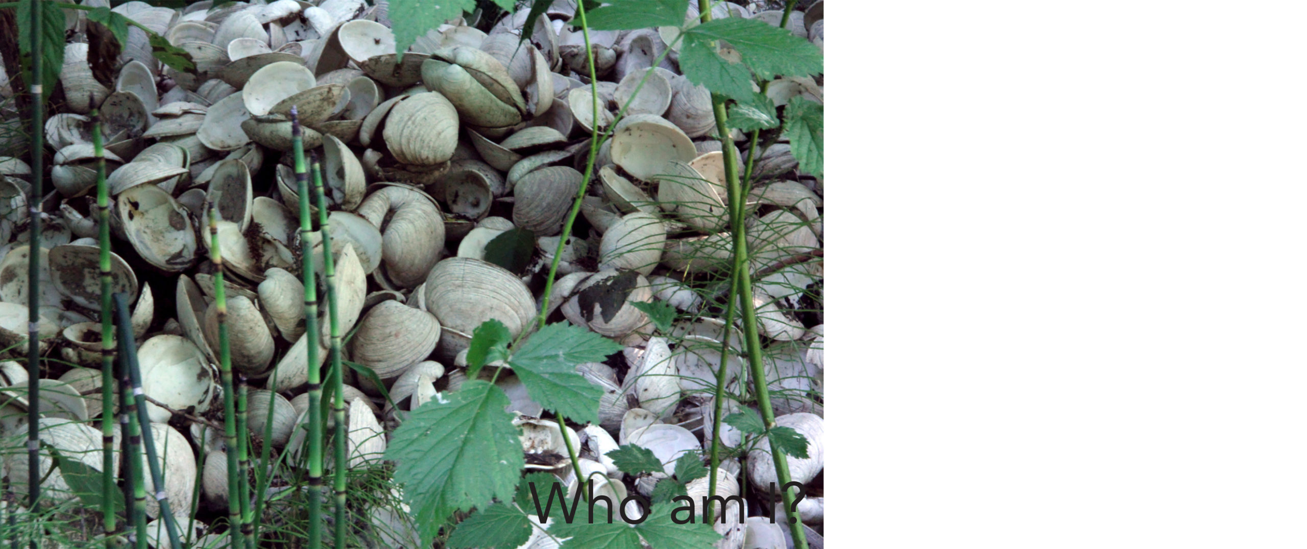 Hexsa’am: To Be Here Always: Six Questions – La Biennale d’art ...