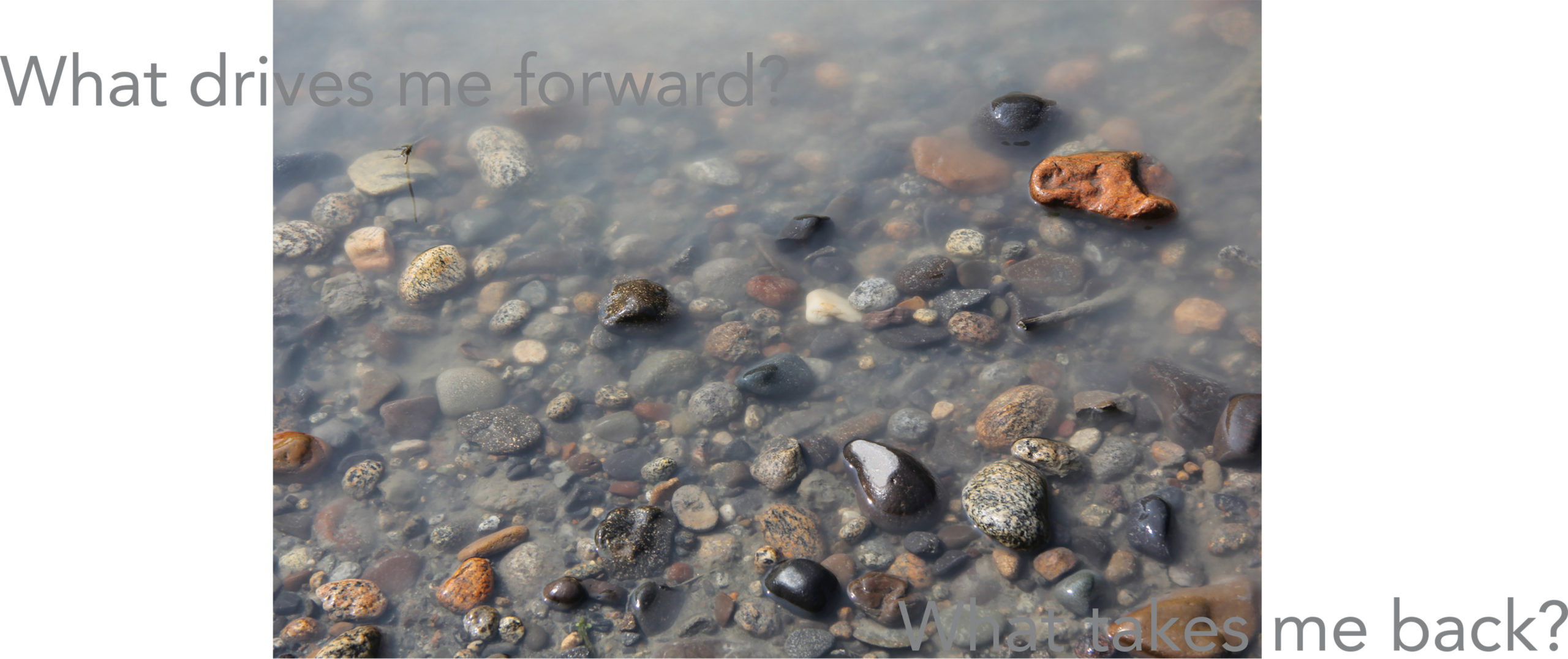 Hexsa’am: To Be Here Always: Six Questions – La Biennale d’art ...