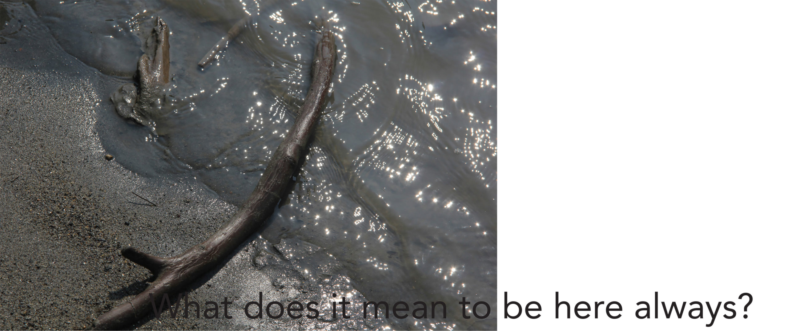 Hexsa’am: To Be Here Always: Six Questions – La Biennale d’art ...